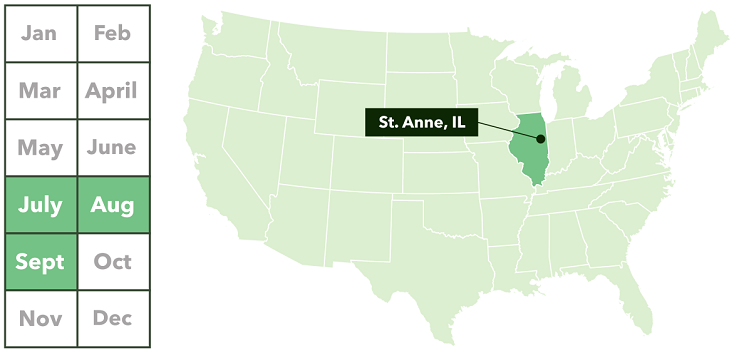 Commodities | DeGroot Vegetable Farms